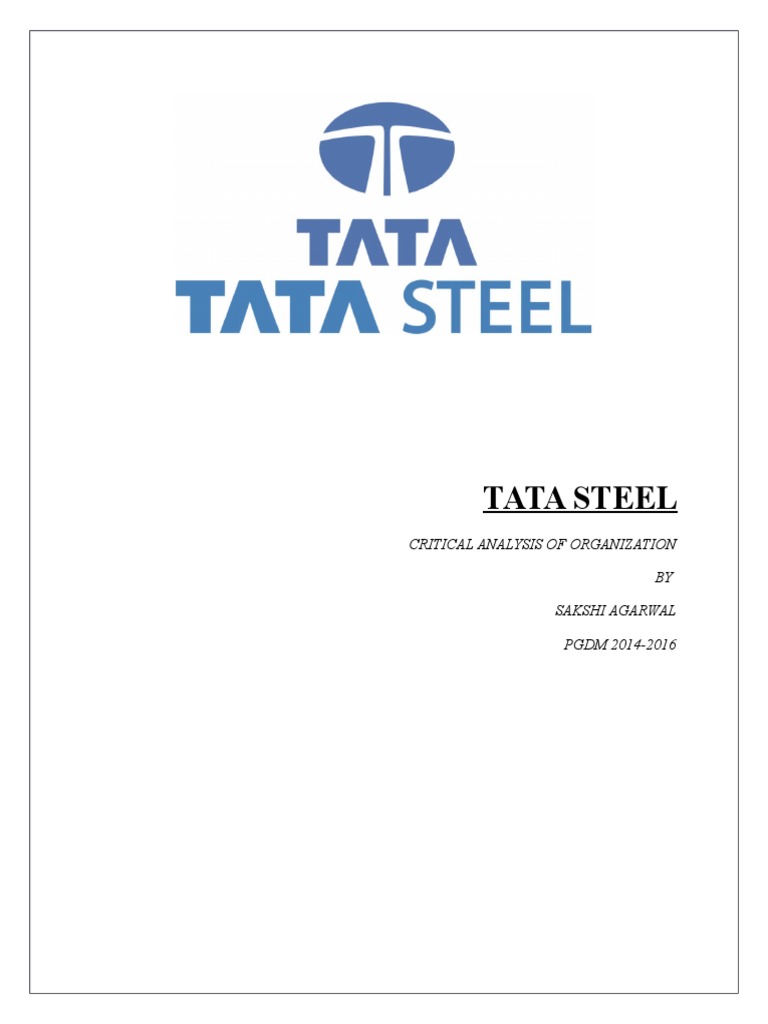 Tata Steel | Download Free PDF | Economies | Business