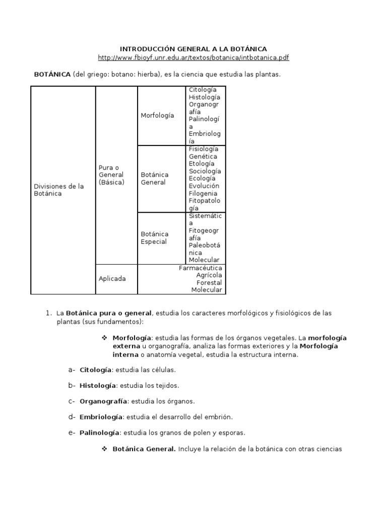 Divisiones de la Botánica y sus Ramas | PDF | Botánica | Plantas