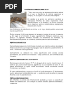 Fase Cromatica, Enfisematosa, Licuefactiva, Esqueletización y ...