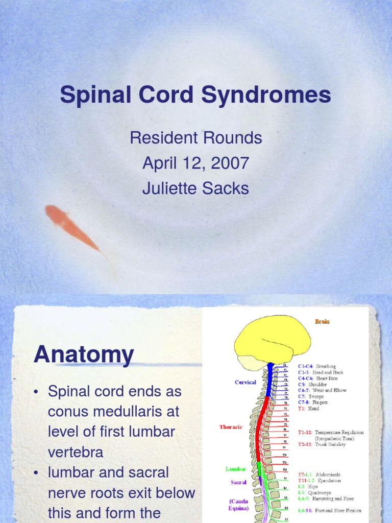 2007 04 12-Sacks-Spinal Cord Syndromes | PDF | Spinal Cord | Human Anatomy