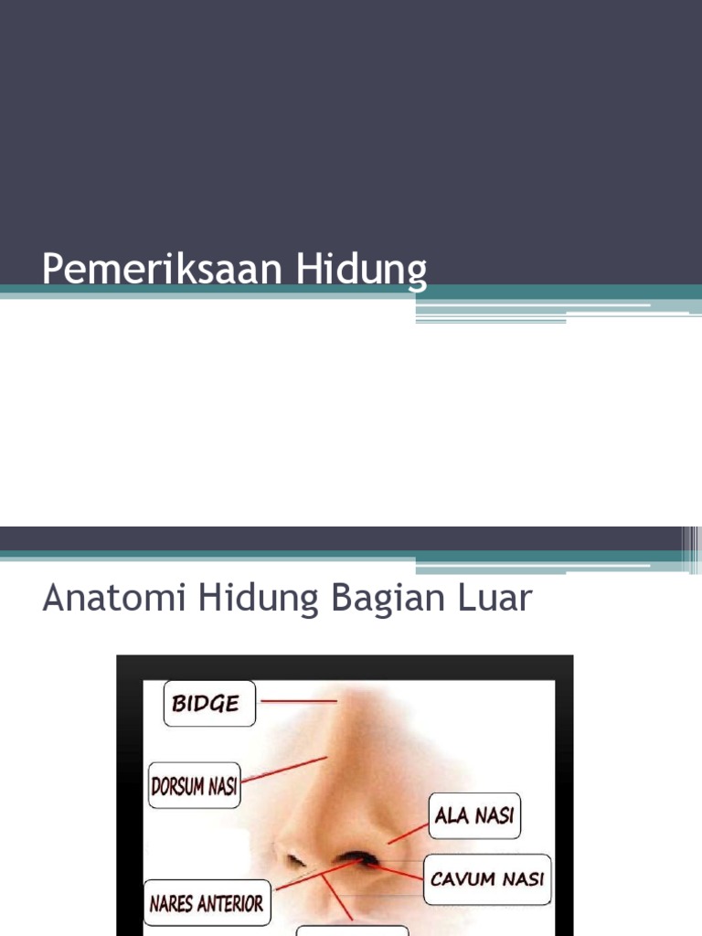 Pemeriksaan Hidung | PDF