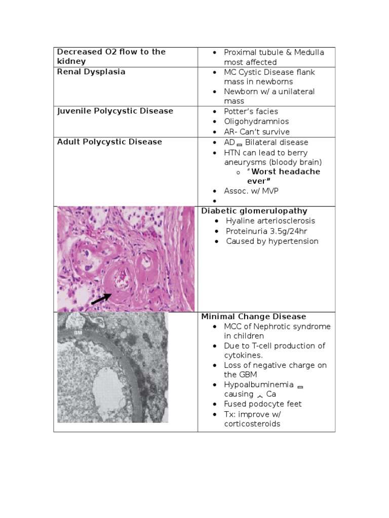 2 Renal Buzzword Chart | PDF | Kidney | Nephrology