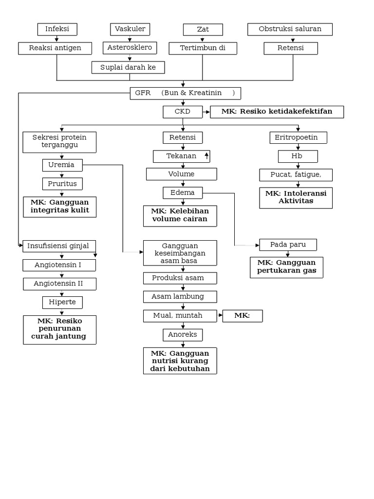 Pathway CKD | PDF