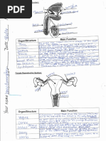 Amoeba Sisters Video Recap of Plant Reproduction in Angiosperms | PDF