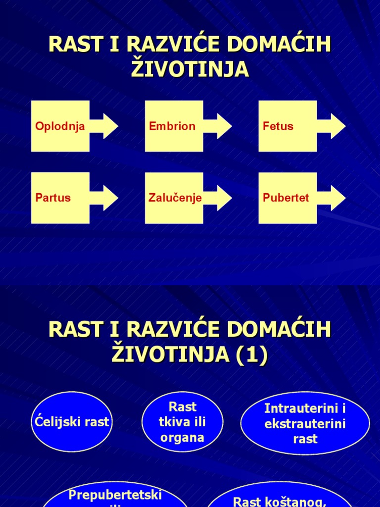 Rast I Razvice Domacih Zivotinja | PDF
