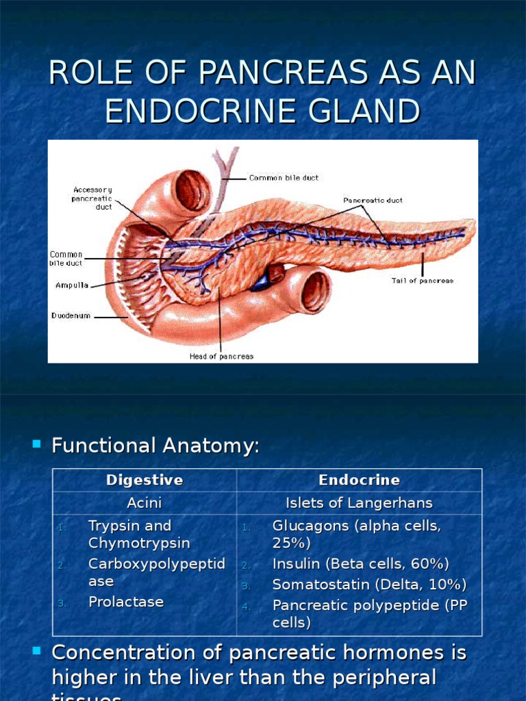 Pancreas Endocrine Function