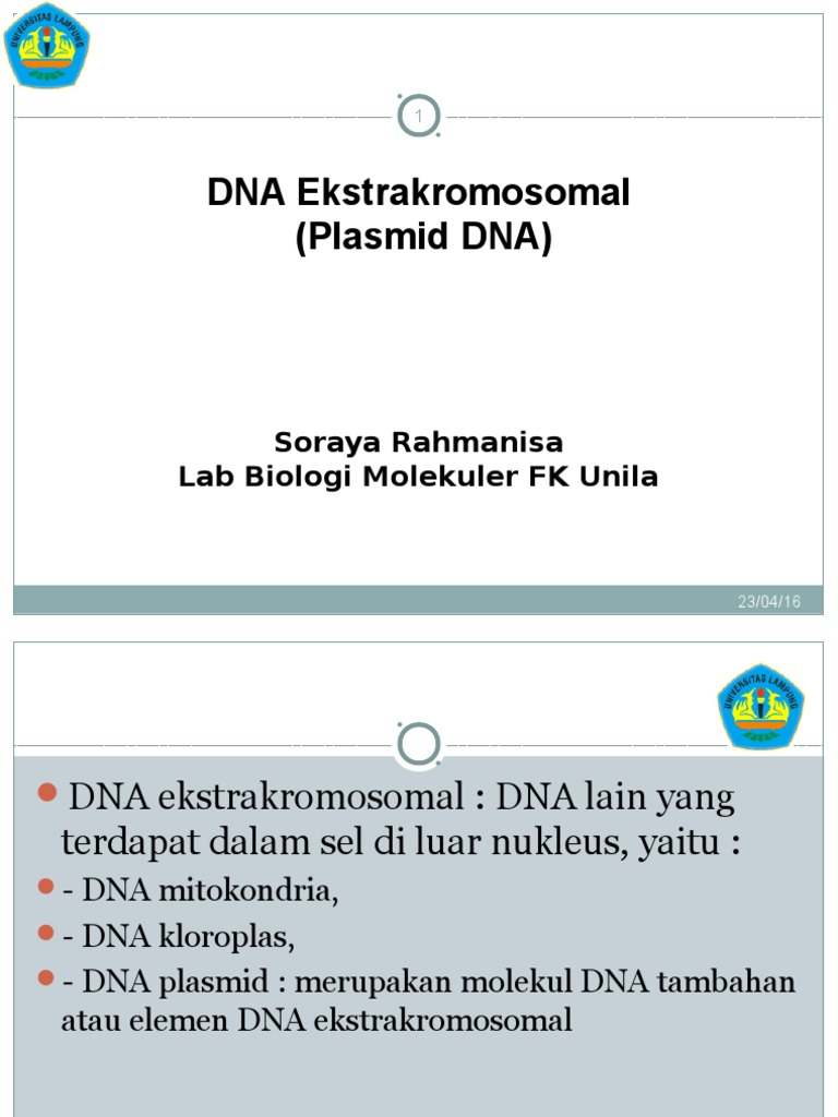 Plasmid DNA | PDF | Plasmid | Precipitation (Chemistry)
