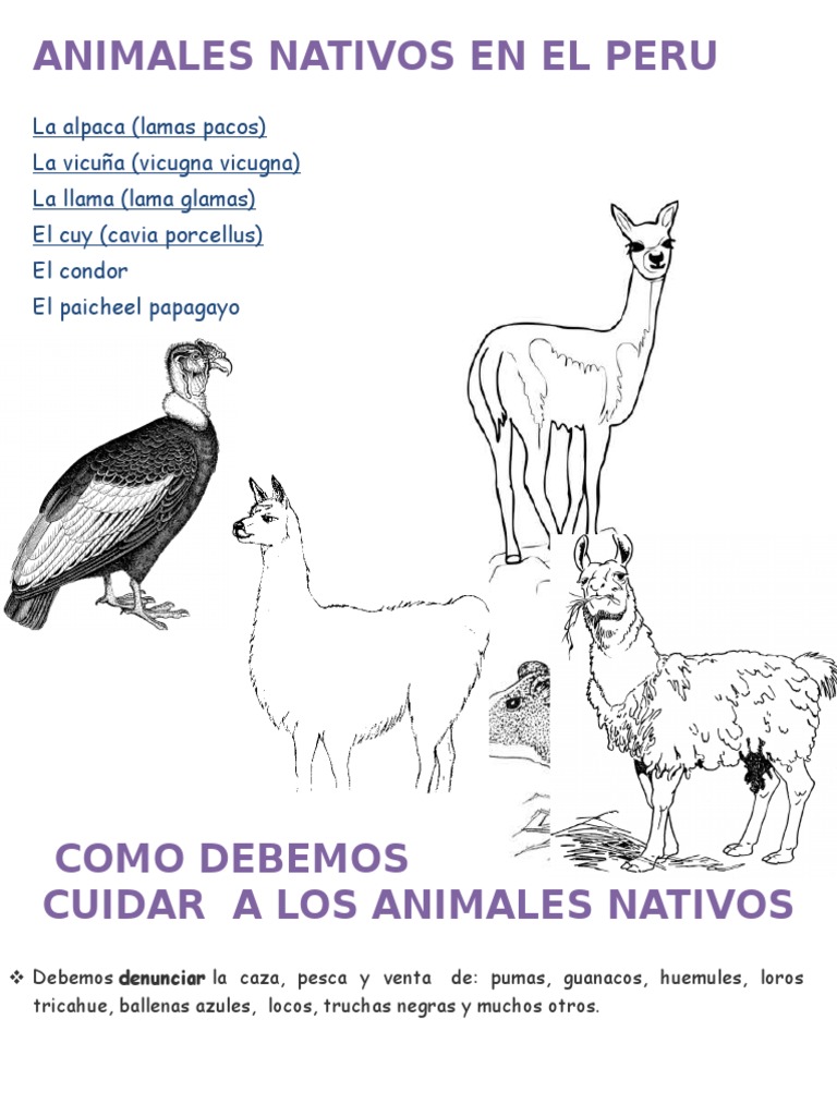 Animales Nativos del Perú | PDF