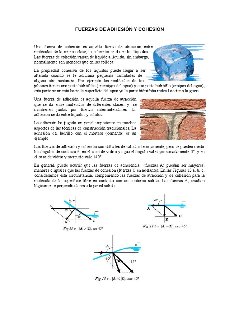 Fuerzas de Adhesión y Cohesión