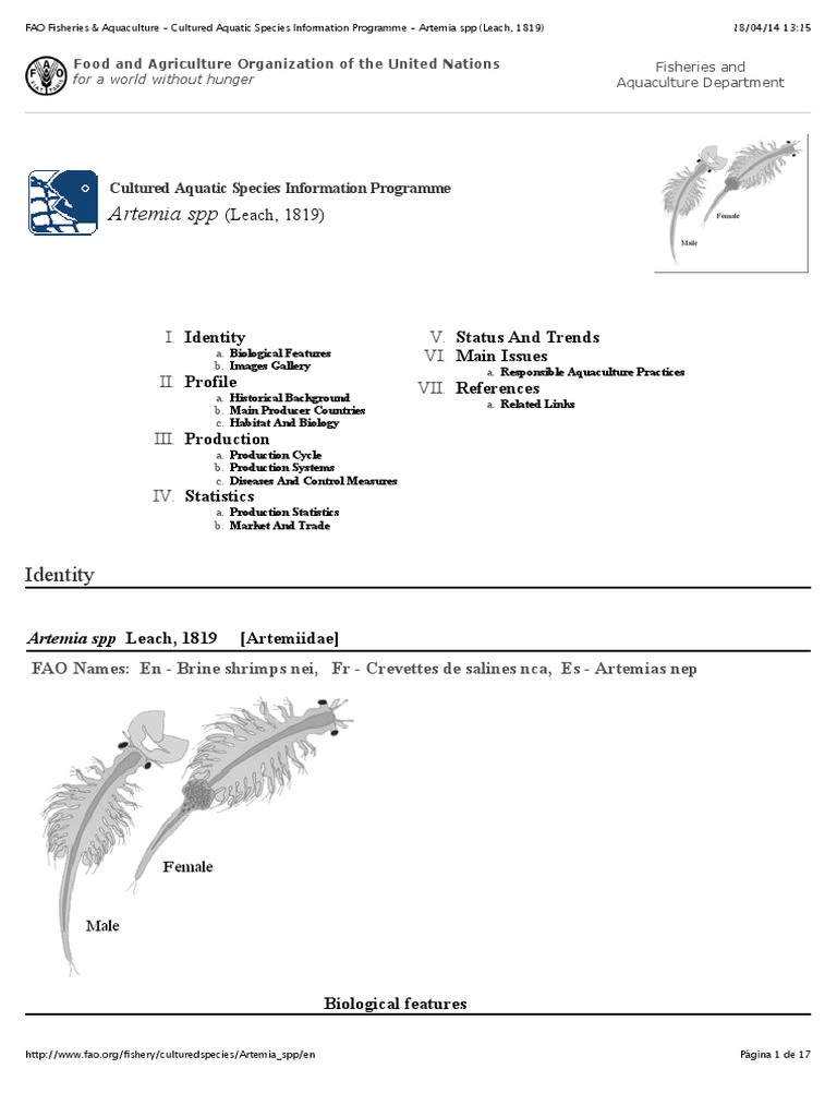 An In-Depth Look at Artemia spp. (Brine Shrimp) Cultivation, Production ...