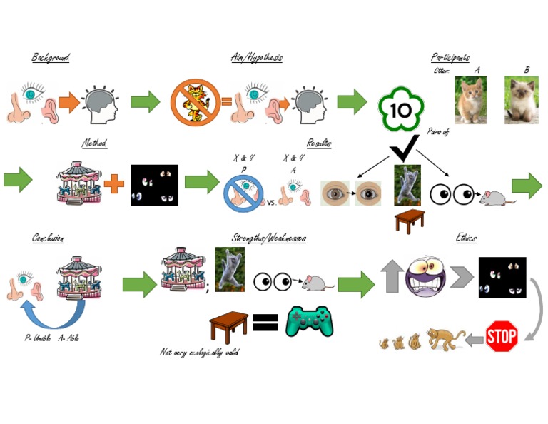 Held and Hein Mind Map | PDF