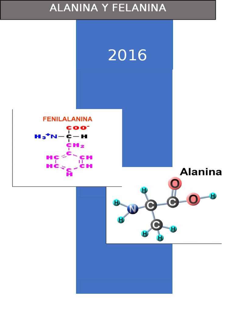 Fuentes de Alanina y Fenilalanina | PDF | Fenilalanina | Biomoléculas