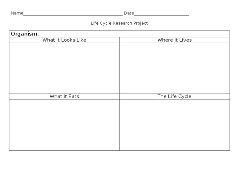 Butterfly Life Cycle Organizer | PDF | Career & Growth | Wellness