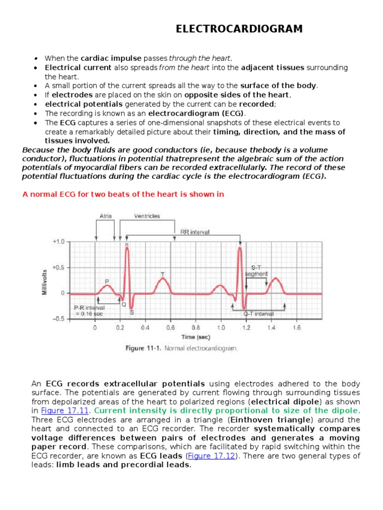 Electrocardiogram | PDF | Electrocardiography | Cardiac Arrhythmia