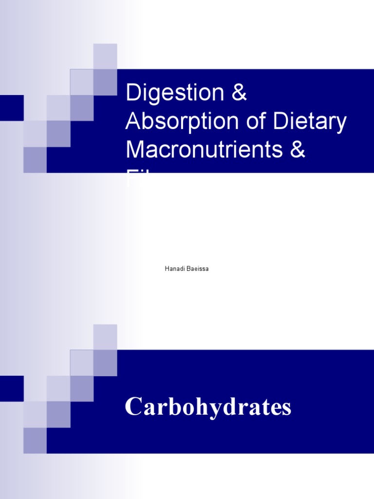 Digestion & Absorption of Dietary Macronutrients & Fibre: Hanadi ...