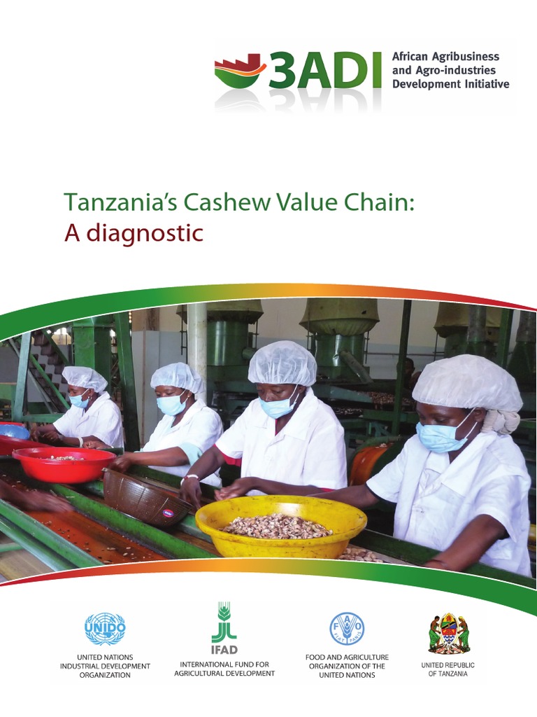 Cashew Value Chain Diagnostics | PDF | Subsidy | Agriculture