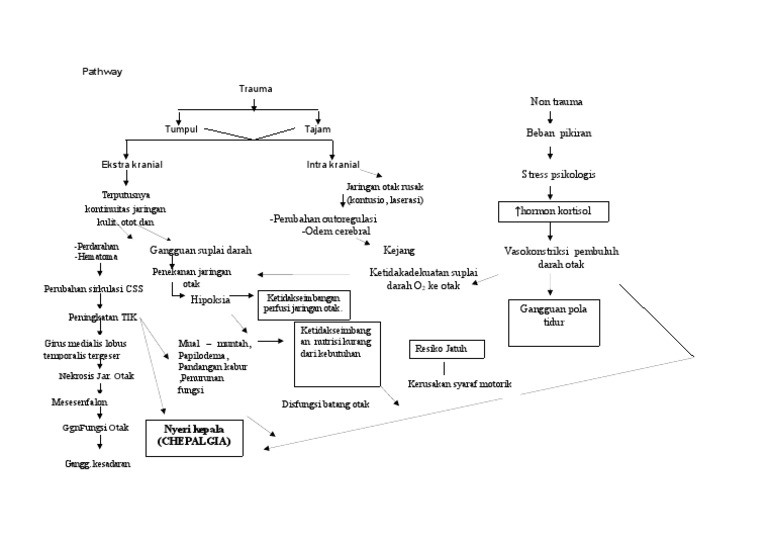 Pathway Chepalgia | PDF
