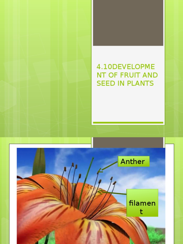 4.10developme NT of Fruit and Seed in Plants | PDF | Wellness | Science ...
