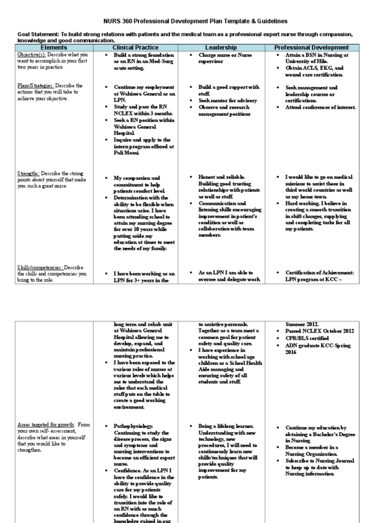 Pdp Template 1 Nursing Competence Human Resources 