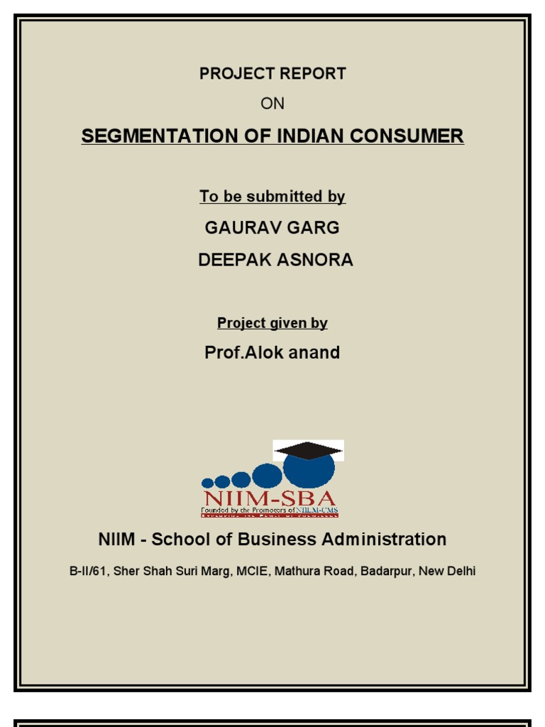 Segmentation of Indian Consumer | PDF | Market Segmentation | Consumer ...