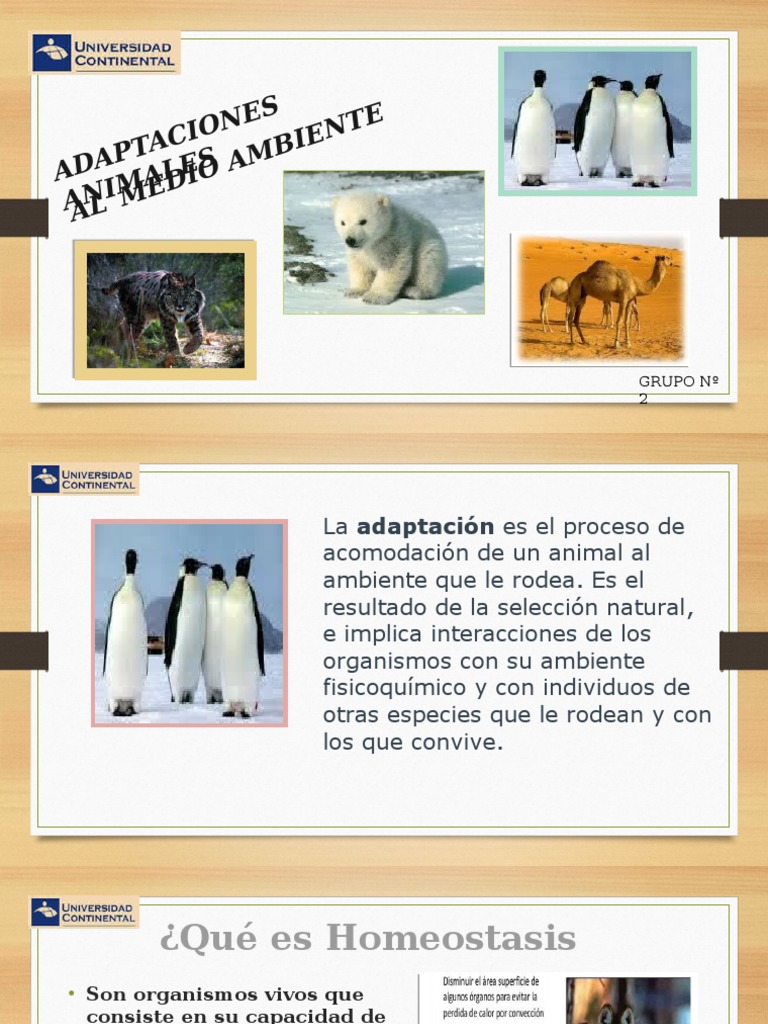 Adaptaciones Animales | Adaptación | Organismos | Prueba gratuita de 30 ...