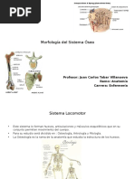 Marcas Óseas o Detalles y Formaciones Óseas | PDF | Viajes y turismo ...