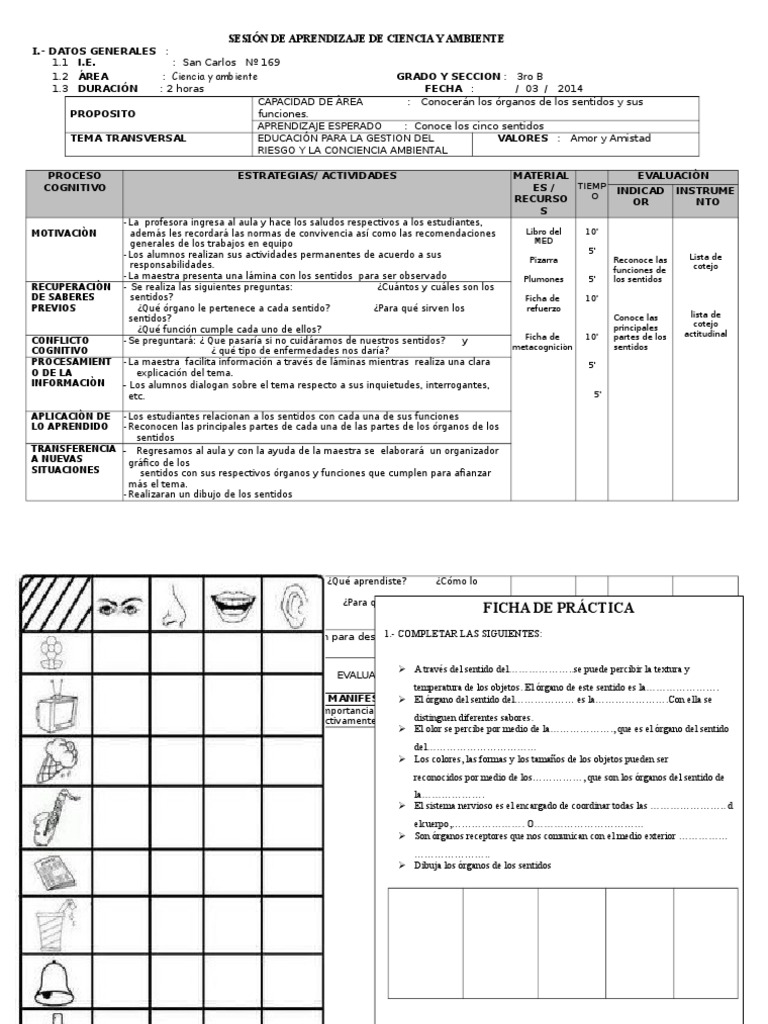 Sesi N de Aprendizaje Con Las Rutas - Los Sentidos | PDF | Oído | Gusto