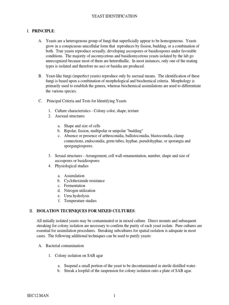 Yeast Identification | PDF | Yeast | Growth Medium