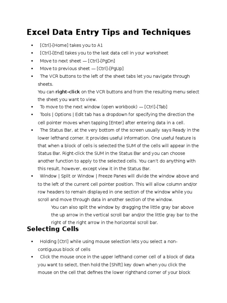 Excel Data Entry Tips And Techniques Pdf Parameter Computer Programming Array Data Type