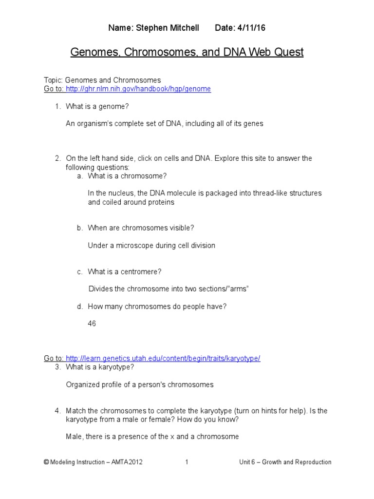 Genome Chromosome and Dna Webquest | PDF | Chromosome | Dna