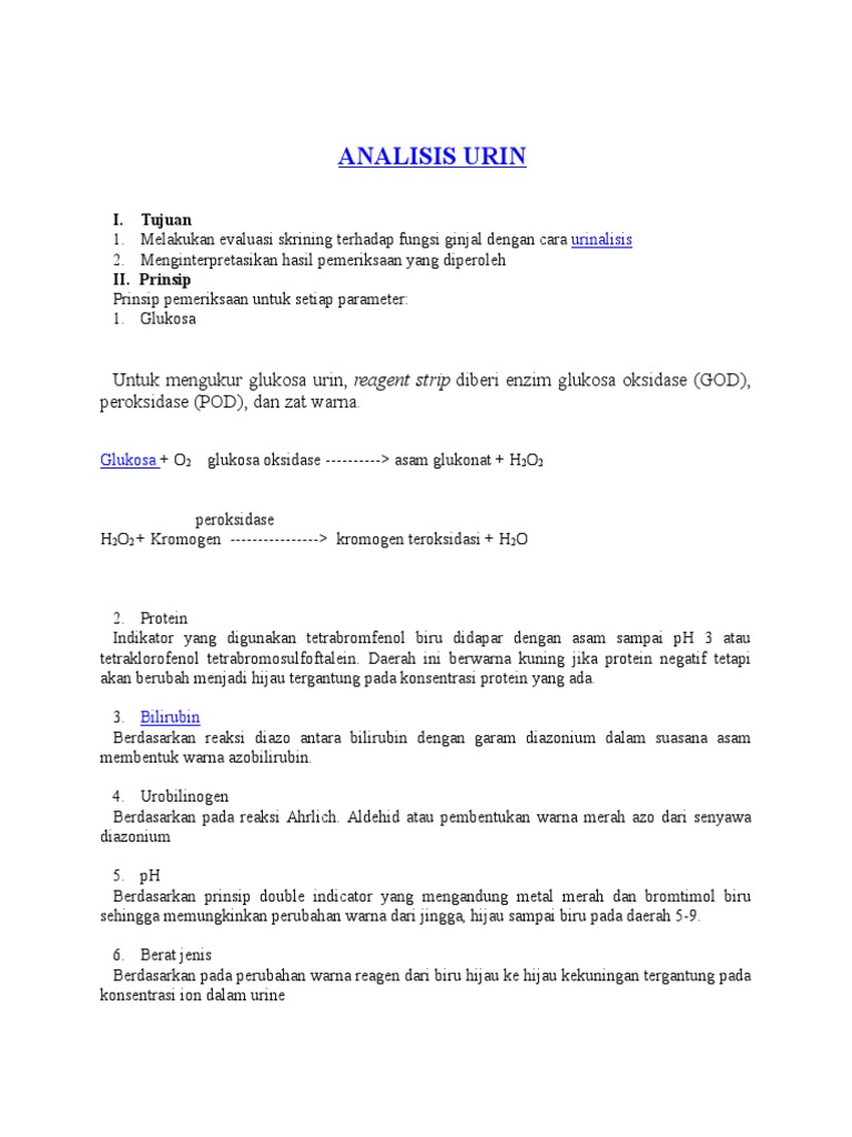 Analisis Urin | PDF