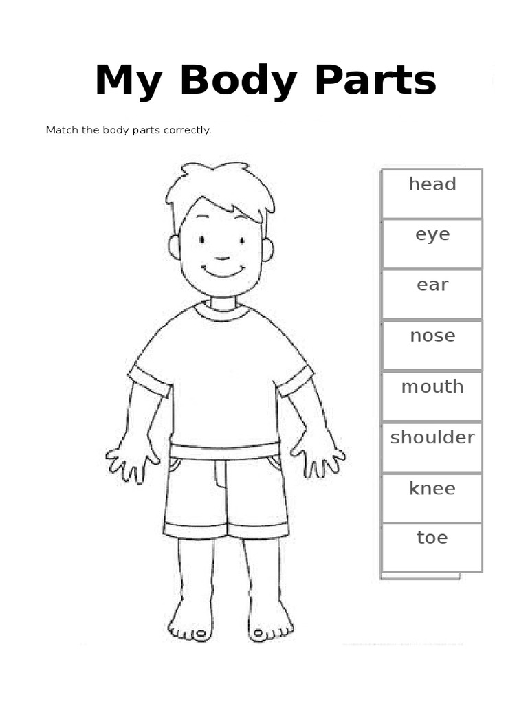 Lembaran Kerja Body Part | PDF