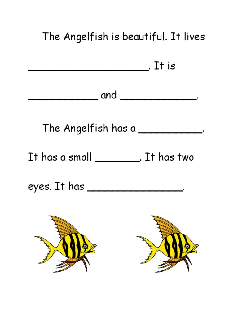 Beautiful Angelfish Overview | PDF