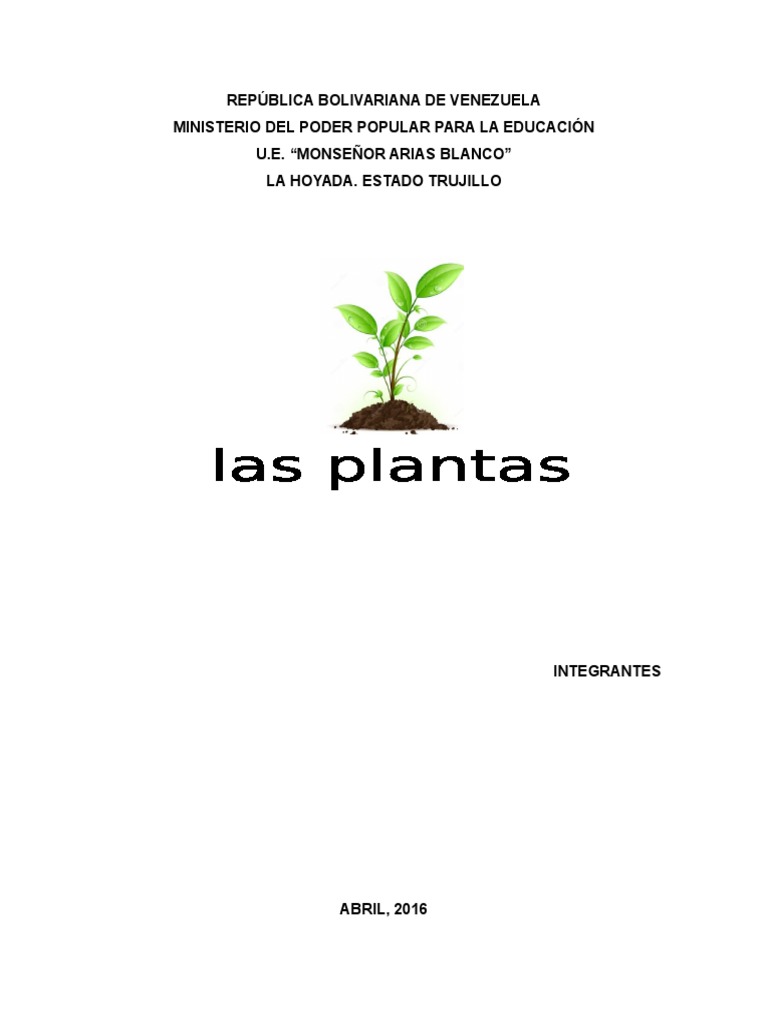 Trabajo Sobre Las Plantas | PDF | Plantas | Hoja