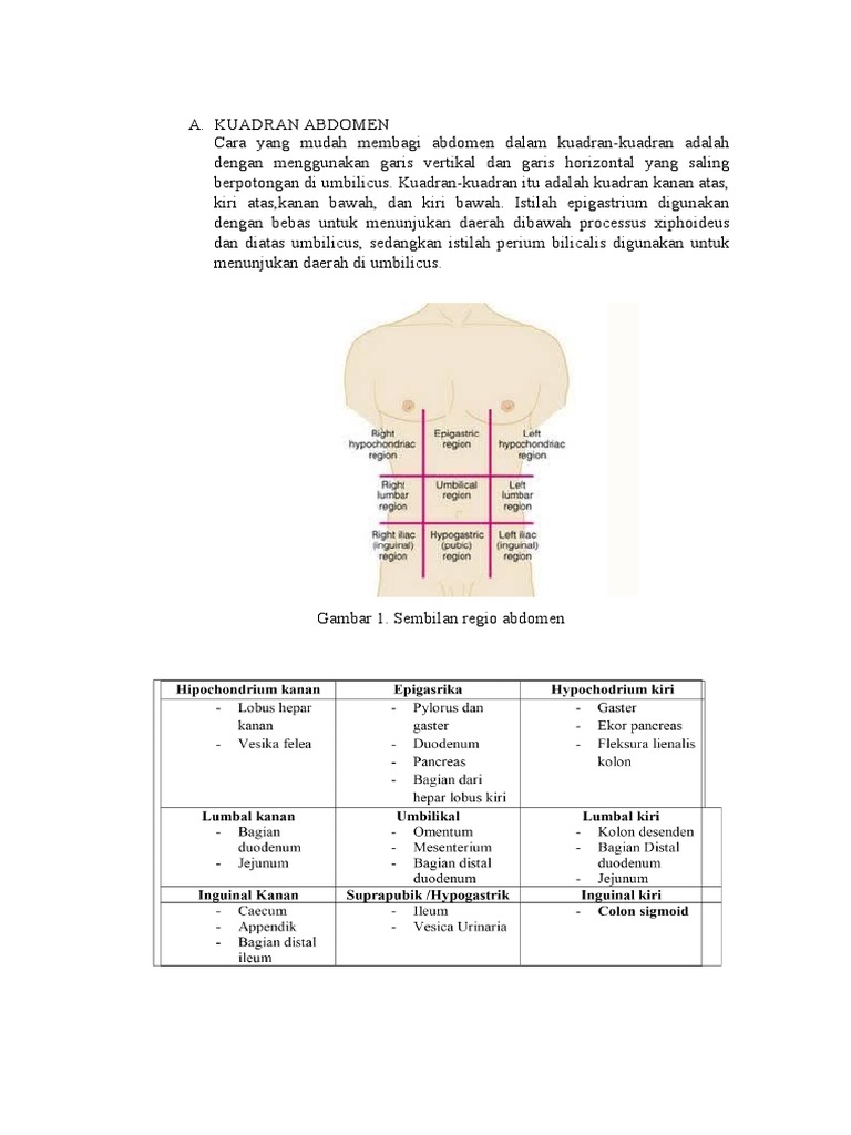 Kuadran Abdomen