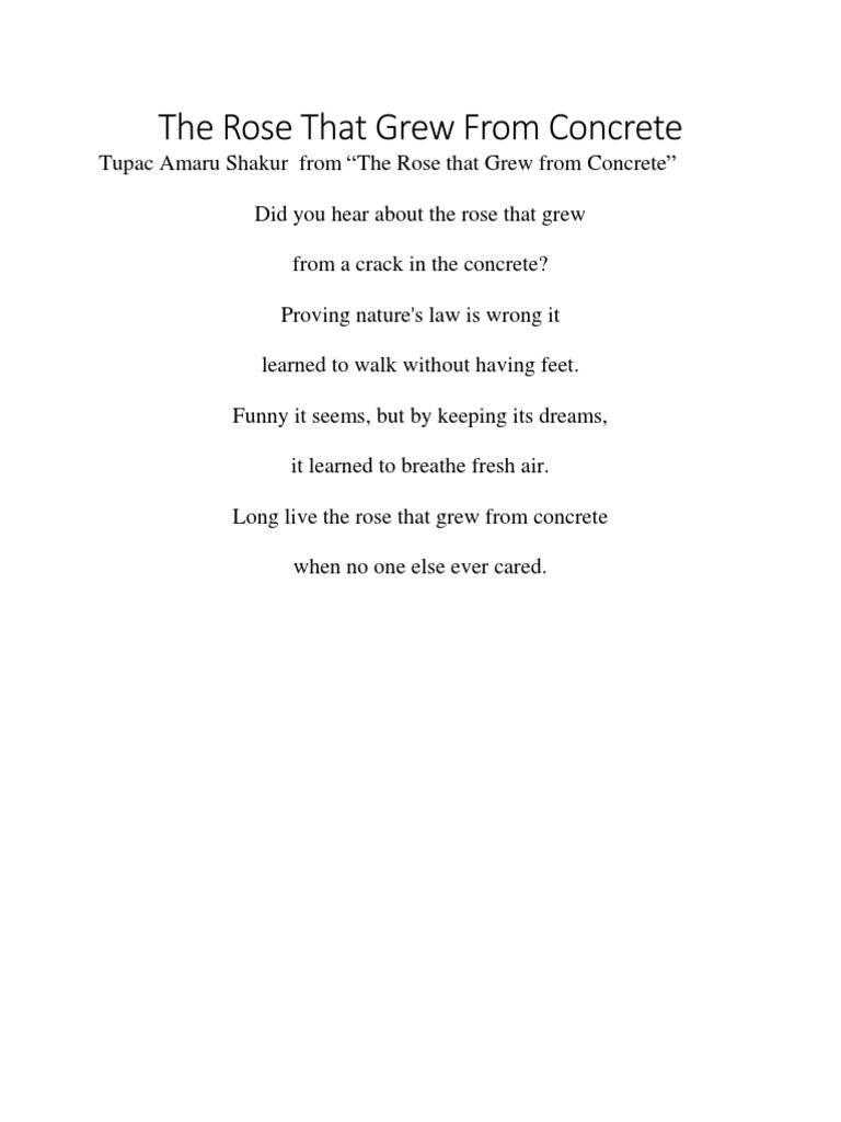 2pac The Rose That Grew From Concrete