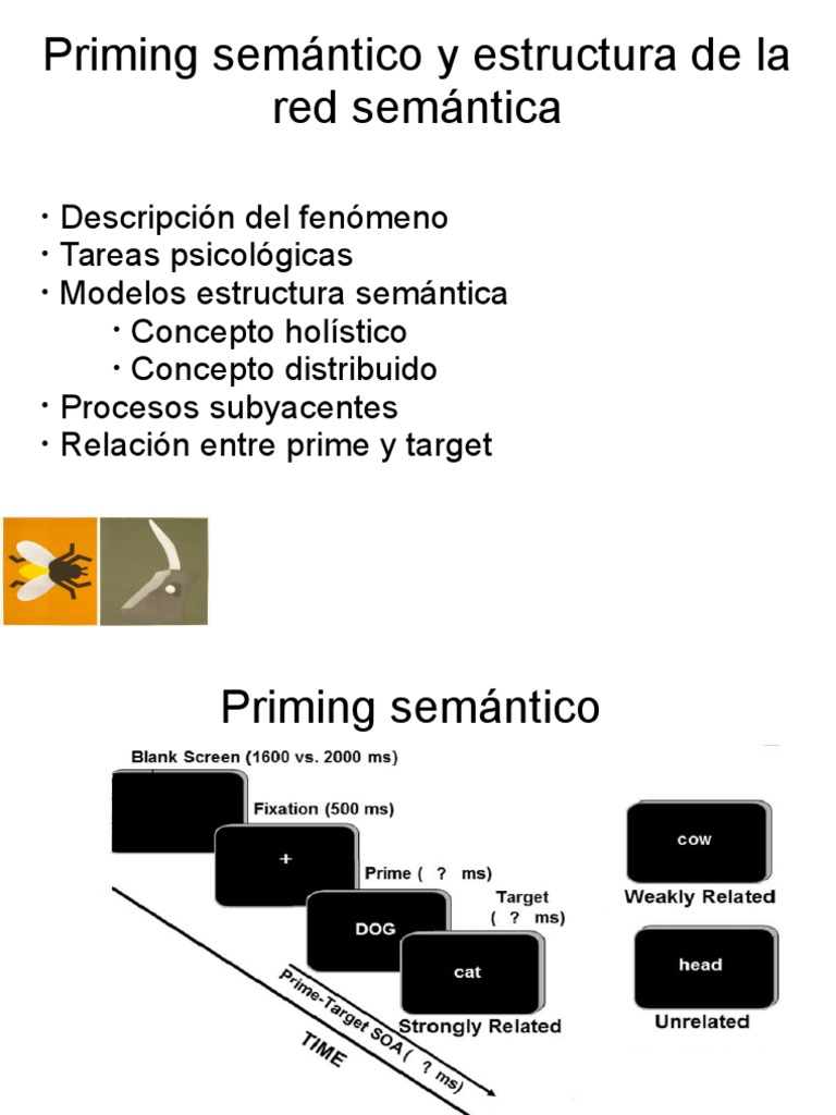 Semantic Priming | Neuropsicología | Procesos mentales