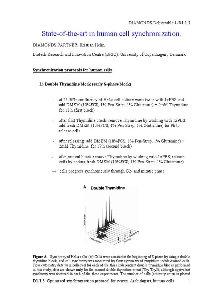Synchronization Protocols For Human Cells-9 | PDF | Self-Improvement ...