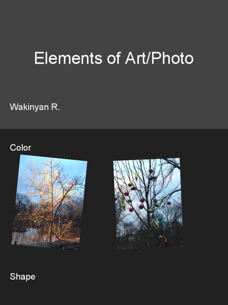 Elements of Art-Photo 1 | PDF