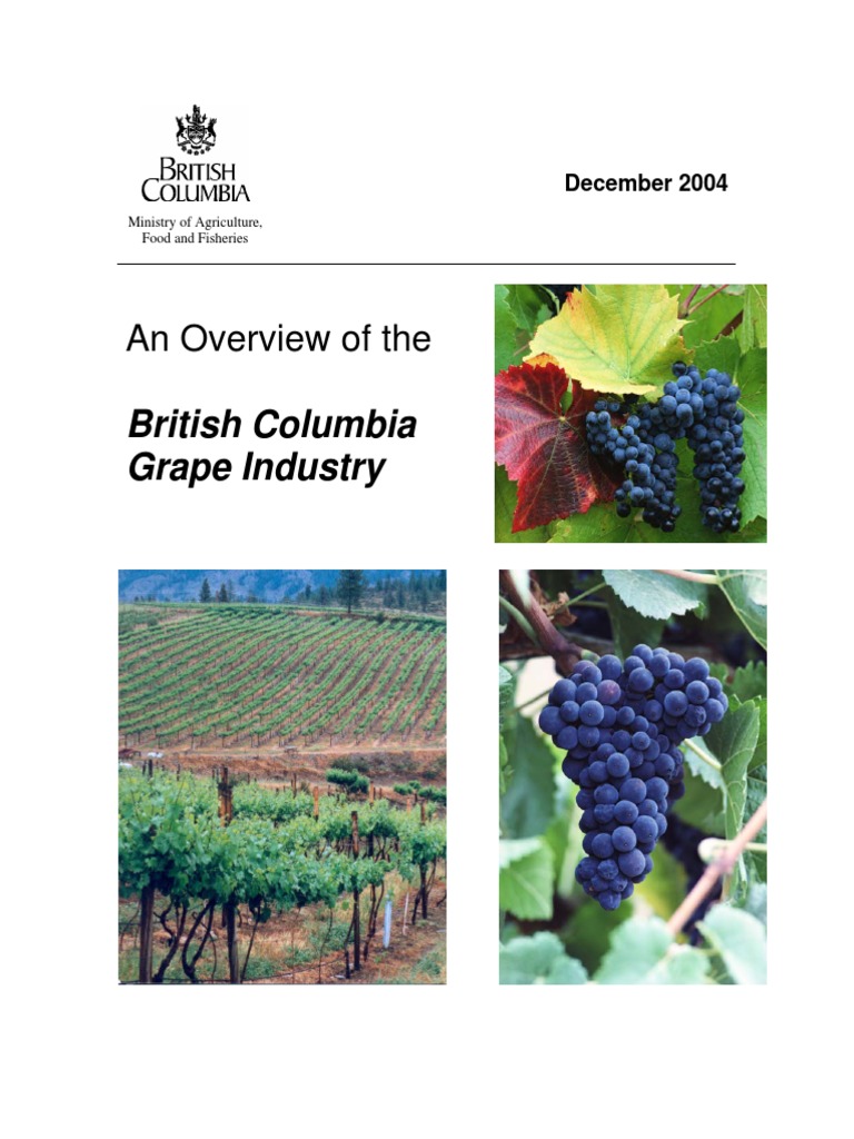 An Overview of The British Columbia Grape Industry | PDF | Wine | Grape