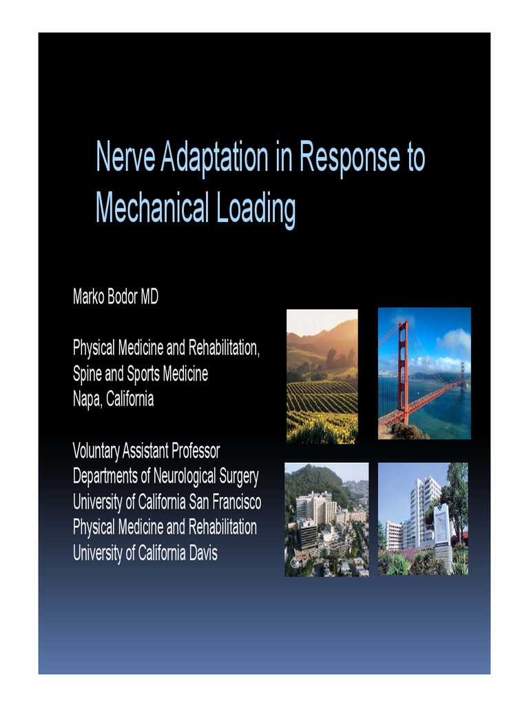 Nerve Adaptation in Response To Mechanical Loading - Marko Bodor | PDF ...