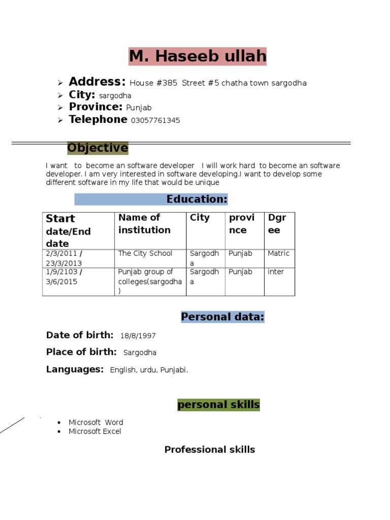 Haseeb's Software Developer Aspirations | PDF