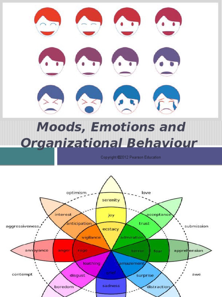 Moods, Emotions and Organizational Behaviour | Download Free PDF | Mood ...