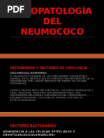 Foramen Ciático Mayor y Menor | PDF | Historia