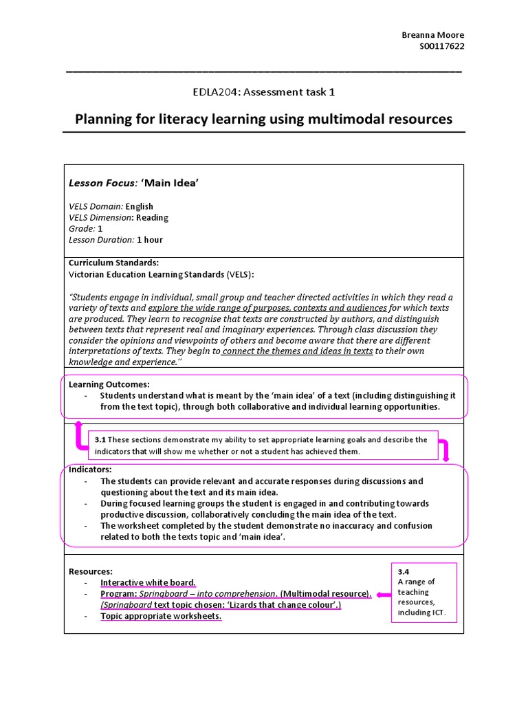 Standard 3 - Literacy Lesson Plan | PDF | Reading Comprehension | Literacy