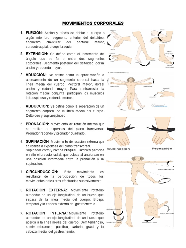 Movimientos Corporales: 1. Flexión