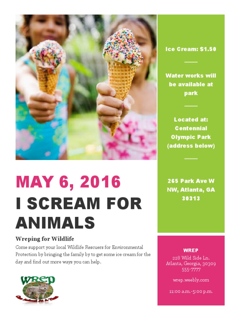 Action Plan Flyer | PDF