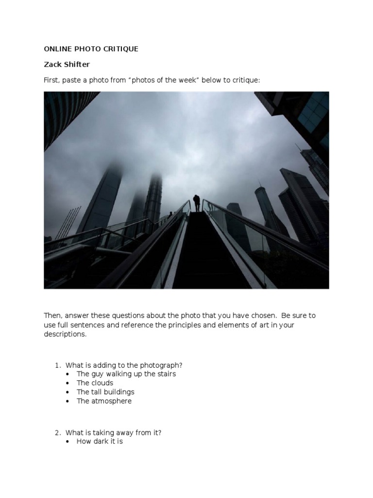 Online Photo Critique Guide | PDF