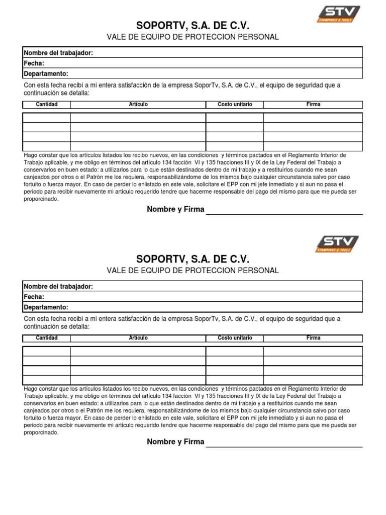 Vale de Equipo de Protección Personal (EPP) | PDF