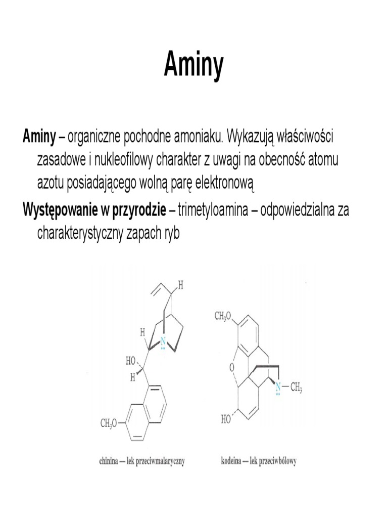 aminy_11